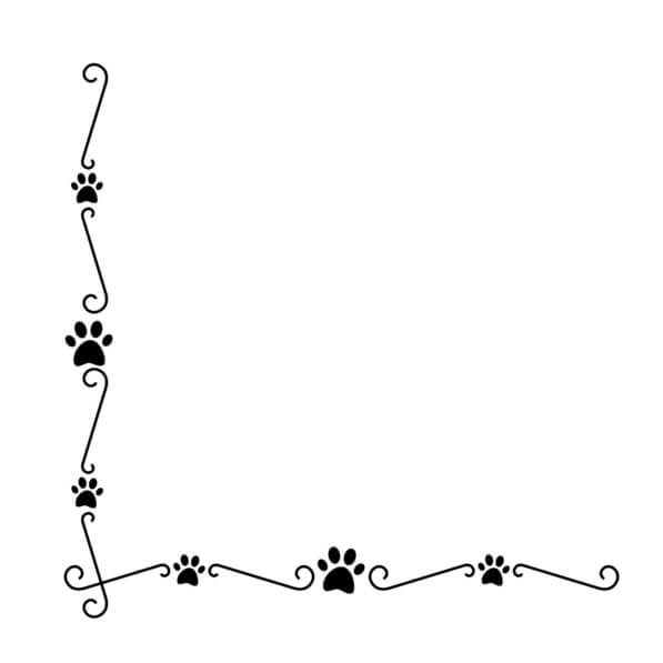 Download Decorative Paw Print Frame Borders & Corners Online - Creative ...