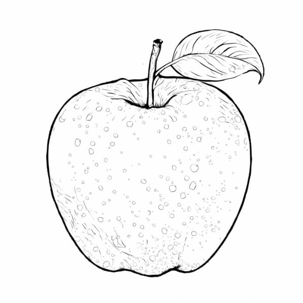 Download Line Drawing of an Apple Coloring pages Online - Creative Fabrica