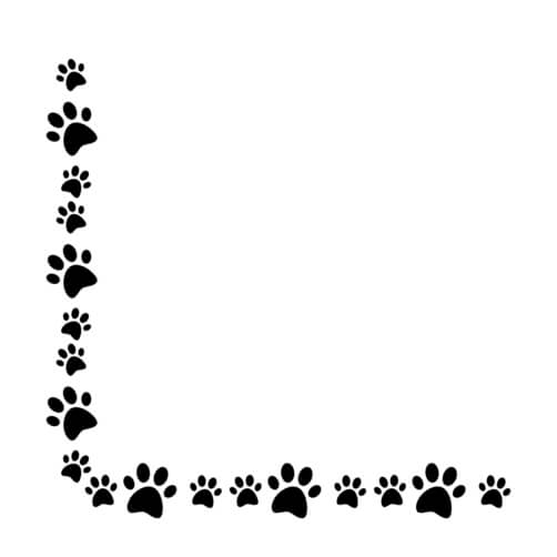 Download Playful Dog Design with Paw Prints Borders & Corners Online ...