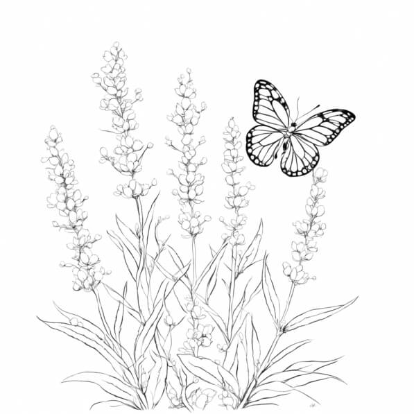 Download Delicate Line Drawing Featuring Butterfly and Plants Coloring ...