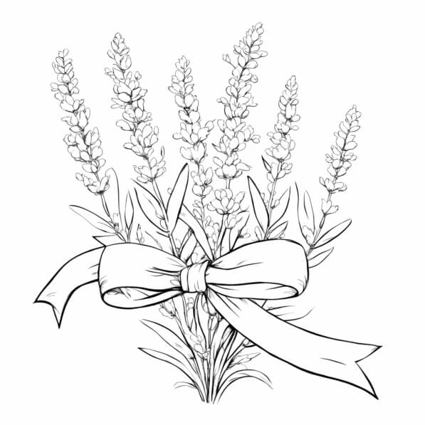 Lavande Dessin Facilenull