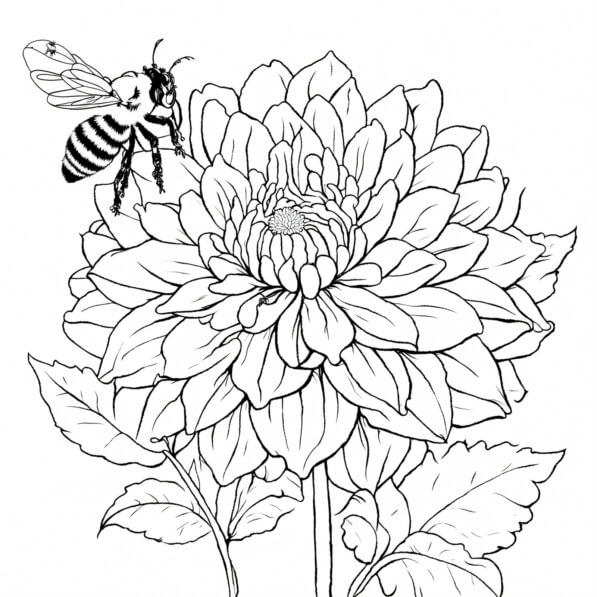 Download Bee and Flower Line Drawing Coloring pages Online - Creative ...