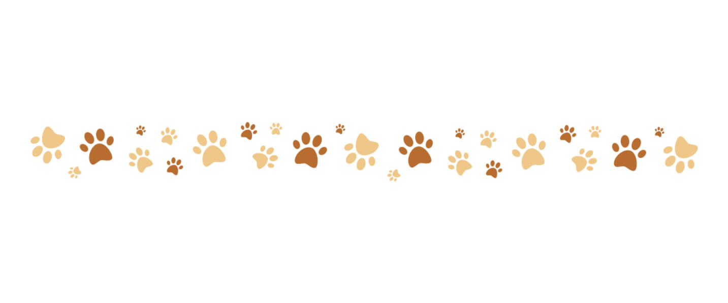 Download Colorful Paw Prints Borders & Corners Online - Creative Fabrica