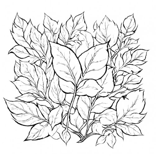 Download Intricate Line Drawing of Leaves Coloring pages Online ...