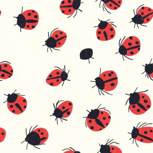 Download Whimsical Ladybug Pattern Patterns Online - Creative Fabrica