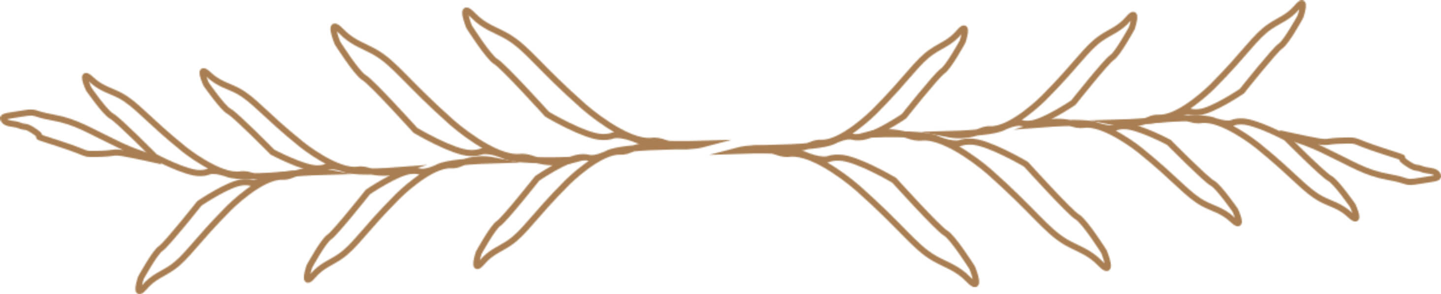 Download Symmetrical Branch Line Art with Leaves Borders & Corners ...