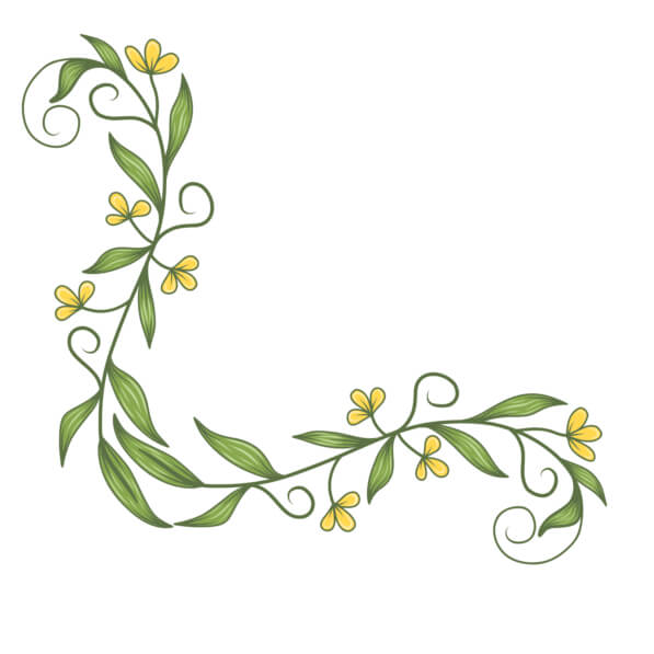 Bordes De Esquinas Con Flores De Verano Flores: Esquinas Para