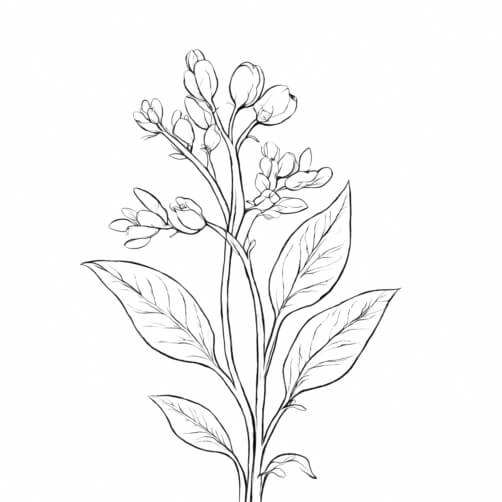 Free Stem Coloring pages - Download Printable Stem Coloring sheets ...