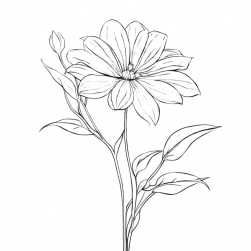 Download Line Drawing of a Flower Coloring pages Online - Creative Fabrica