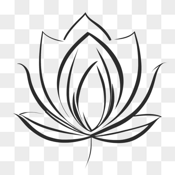 Download Minimalist Line Art Lotus Flower Sketches Online - Creative ...