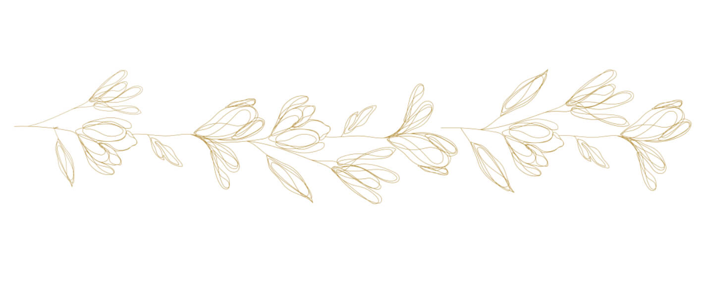 Download Delicate Floral Line Drawing Borders & Corners Online ...