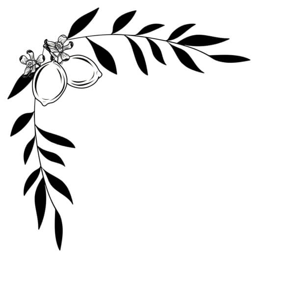 Download Illustration of Lemon Branches Borders & Corners Online ...