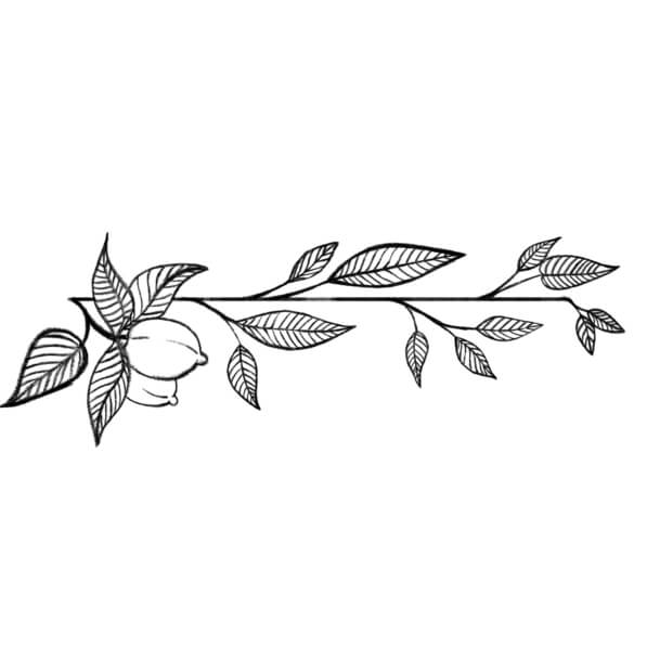 Download Elegant Botanical Illustration Borders & Corners Online ...