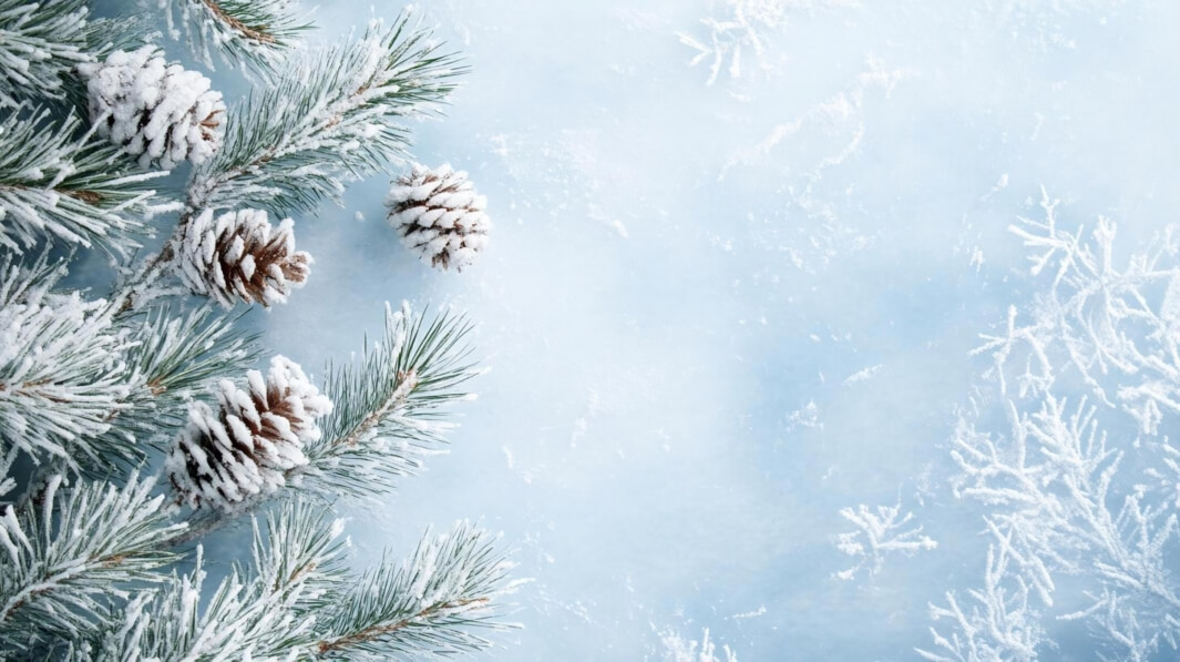 Download Winter Holiday Scene with Snow-Covered Pine Branches ...