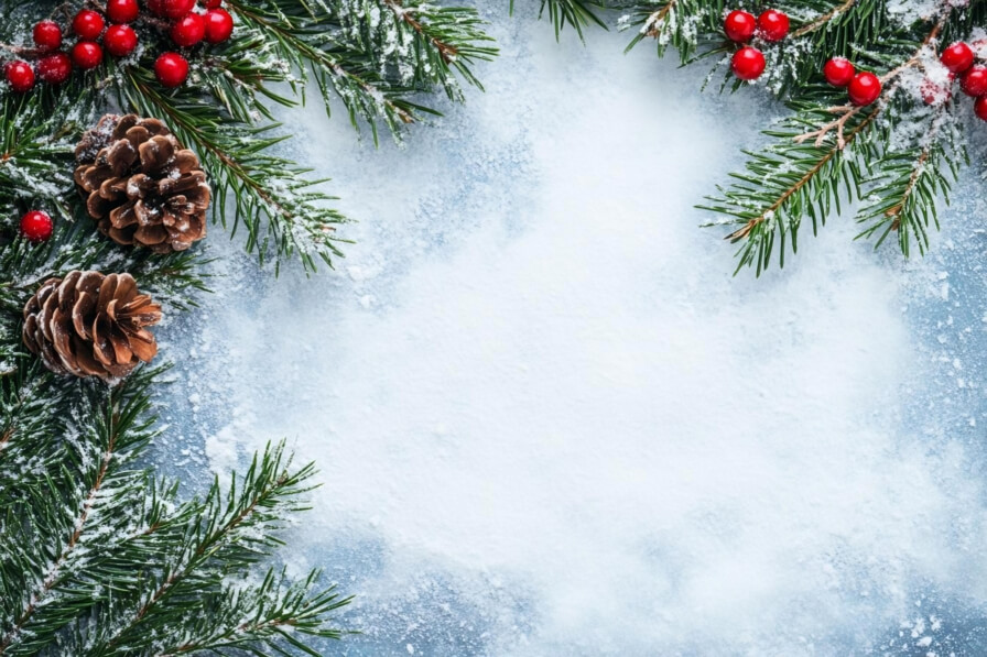 Download Winter Holiday Scene with Pine Branches and Snow Backgrounds ...