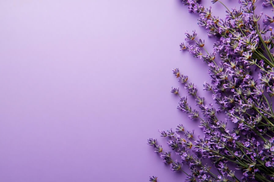 Baixe Flores de Lavanda sobre Fundo Roxo Backgrounds - Creative Fabrica