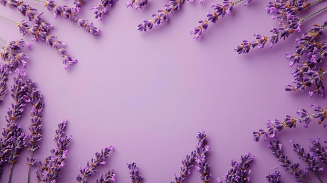 Baixe Flores de Lavanda em Fundo Roxo Backgrounds - Creative Fabrica