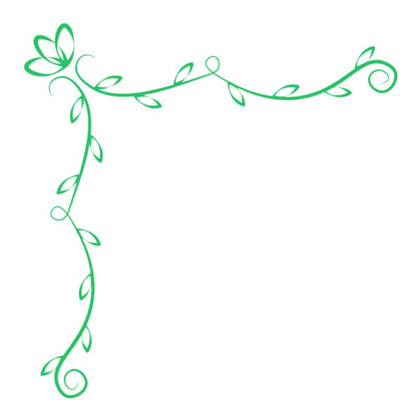 Download Elegant Green Vine Design Borders & Corners Online - Creative ...
