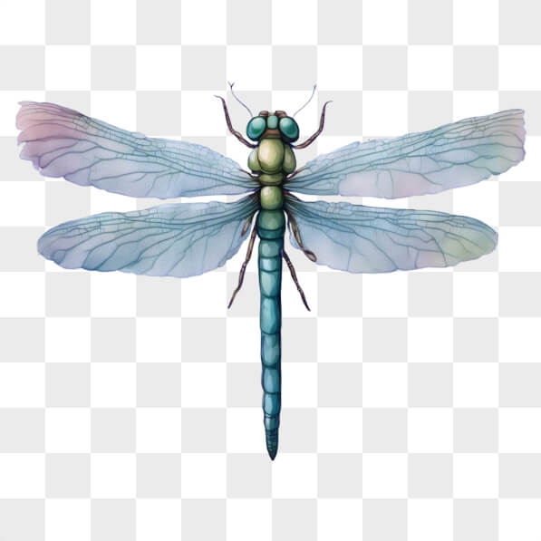 Download Geïllustreerde libel op zwarte achtergrond Cartoons online op ...