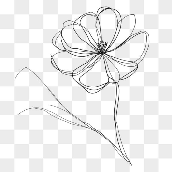 Descarga Dibujo de línea minimalista de una flor Bocetos En Línea ...