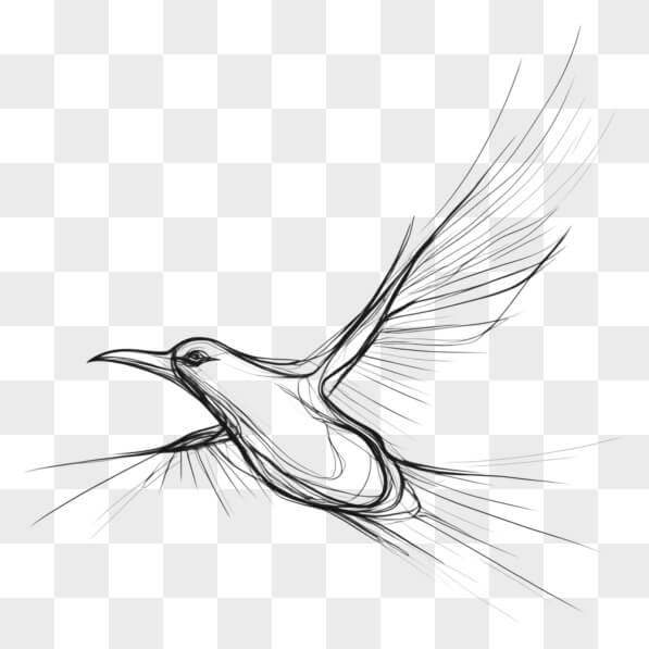 Download Stylized Bird in Flight Sketches Online - Creative Fabrica