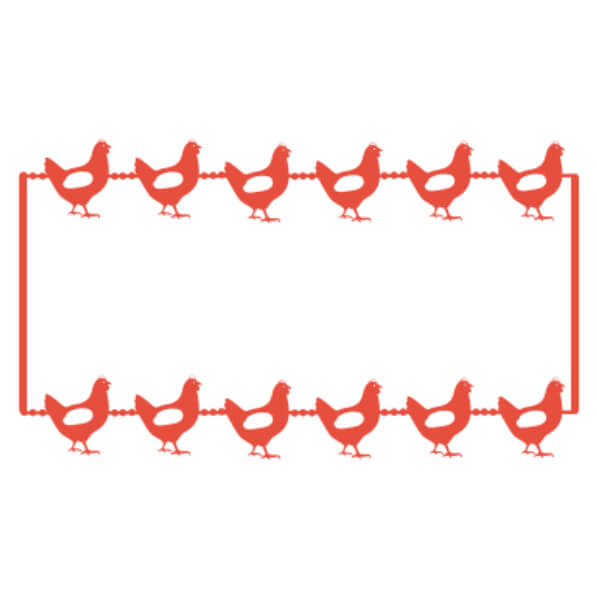Download Whimsical Chicken Border Design Frames Online - Creative Fabrica