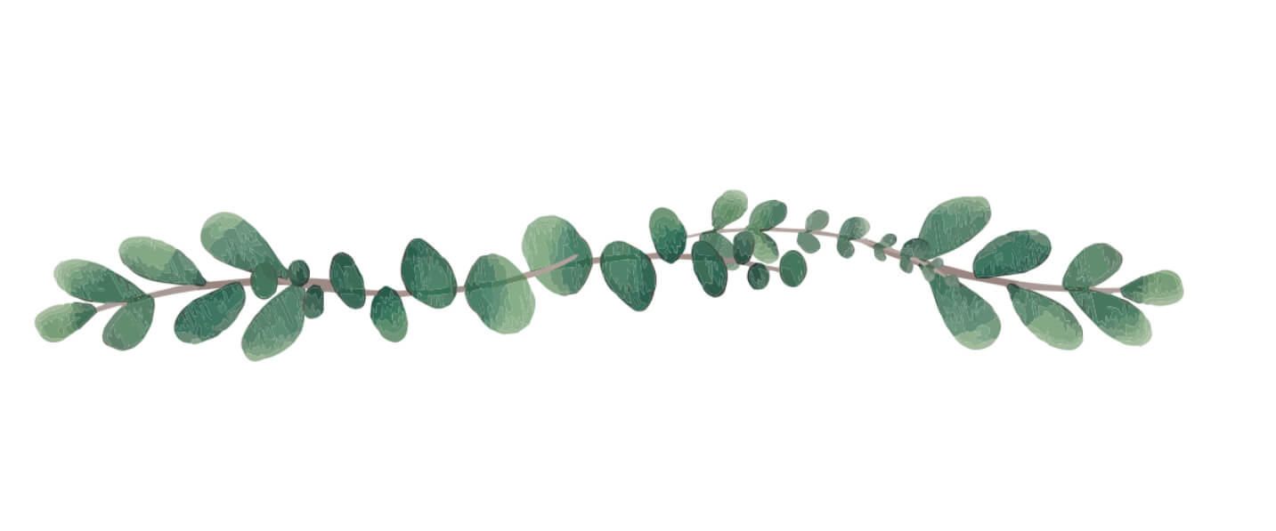 Download Artistic Green Leaf Branch Borders & Corners Online - Creative ...