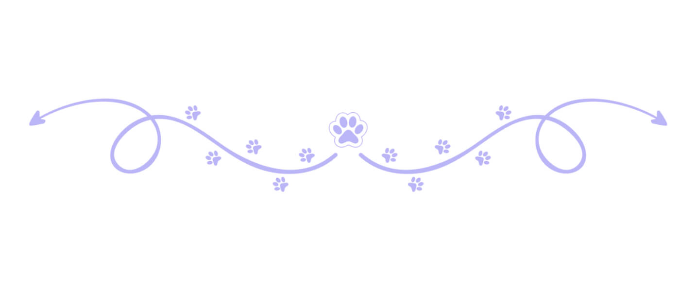 Download Playful Decorative Paw Print Border Borders & Corners Online ...