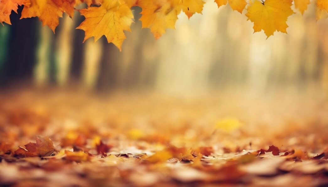 Download Autumn Leaves in Nature Backgrounds Online - Creative Fabrica