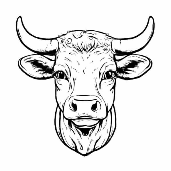 Download Artistic Illustration of a Cow's Head Coloring pages Online ...
