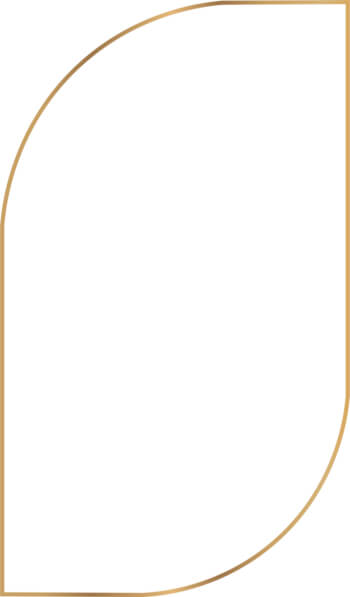 Download Minimalist Gold Curved Border on White Background Frames ...