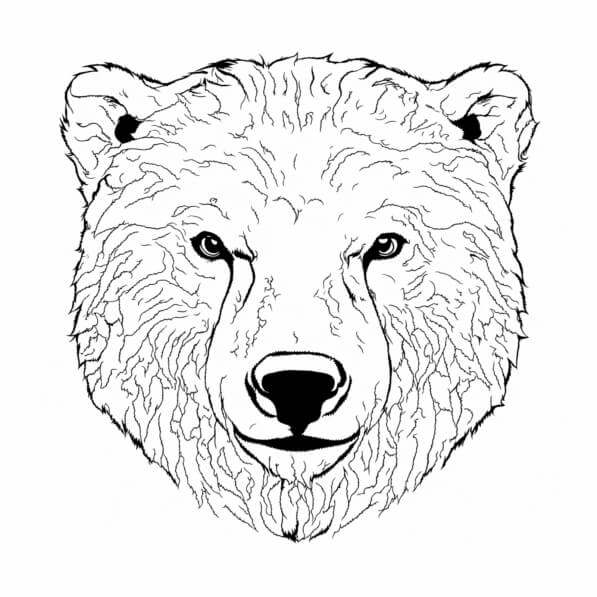 Baixe Arte Linha Detalhada de um Rosto de Urso Colorir páginas ...