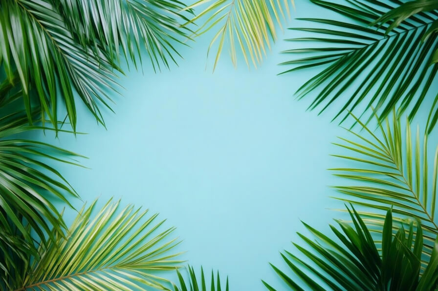 Descarga Hojas de palma tropicales sobre fondo azul Fondos En Línea ...