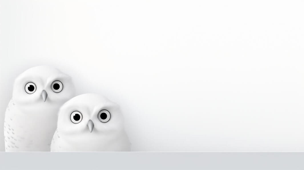 Download Twee Cartoon Witte Uilen Achtergronden online op Creative Fabrica