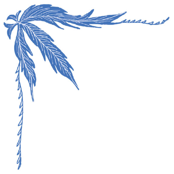 Download Blue Cannabis Leaves Illustration Borders & Corners Online ...