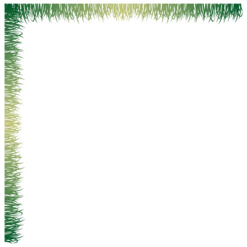 Grass - Download Free & Premium Transparent Grass Images Online ...