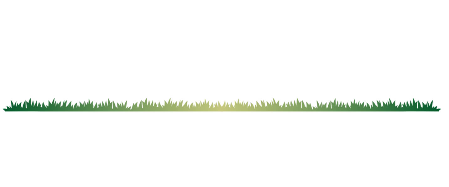 Download Lush Green Grass Border Borders & Corners Online - Creative ...