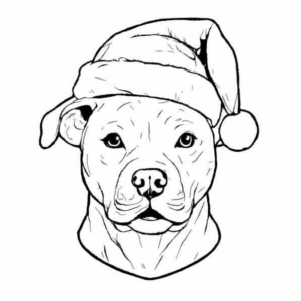 Download Pit Bull with Santa Hat Coloring pages Online - Creative Fabrica