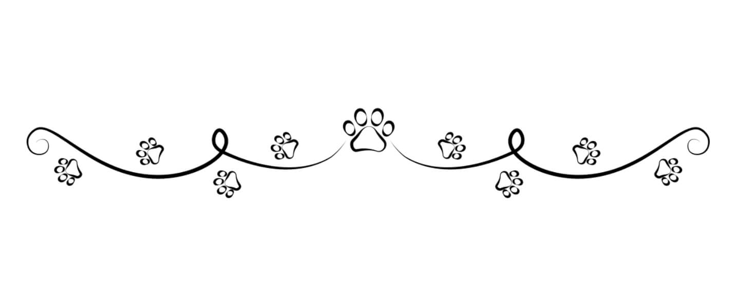 Download Decorative Paw Print Border Borders & Corners Online ...