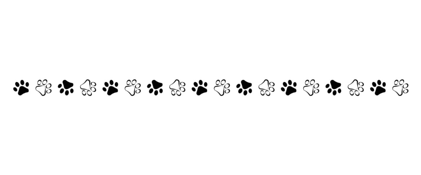 Download Pattern of Animal Paw Prints Borders & Corners Online ...