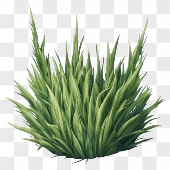 Download Lush Green Grass Cluster Cartoons Online - Creative Fabrica