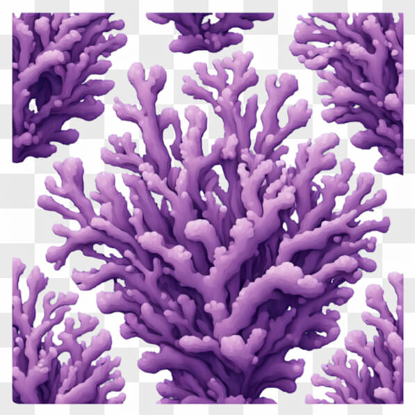 Download Purple Coral Structures on Black Background Cartoons Online ...