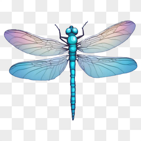 Descarga Ilustración detallada de una libélula Cartoons En Línea ...