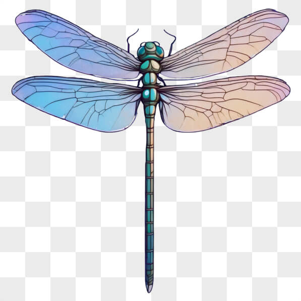 Download Illustrated Dragonfly with Colorful Wings Cartoons Online ...