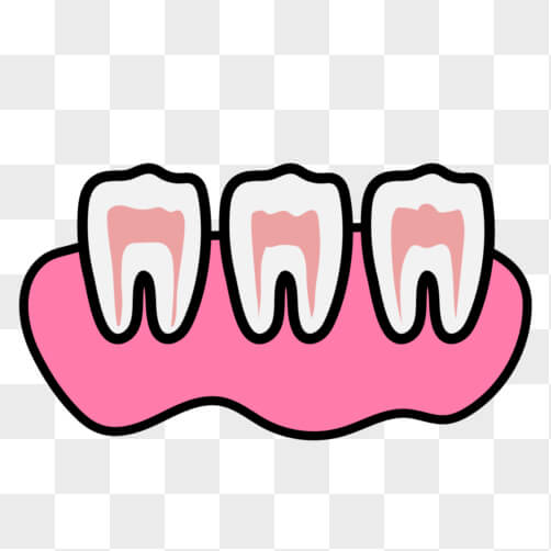 Teeth PNG - Download Free & Premium Transparent Teeth PNG Images Online ...