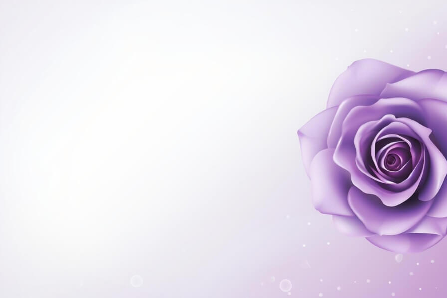 Download Elegant Purple Rose on Light Background Backgrounds Online ...