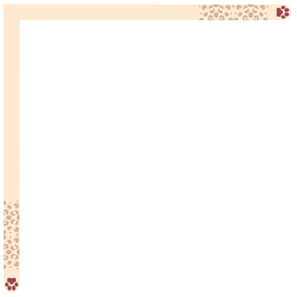 Download Decorative Leopard Print Border Borders & Corners Online ...