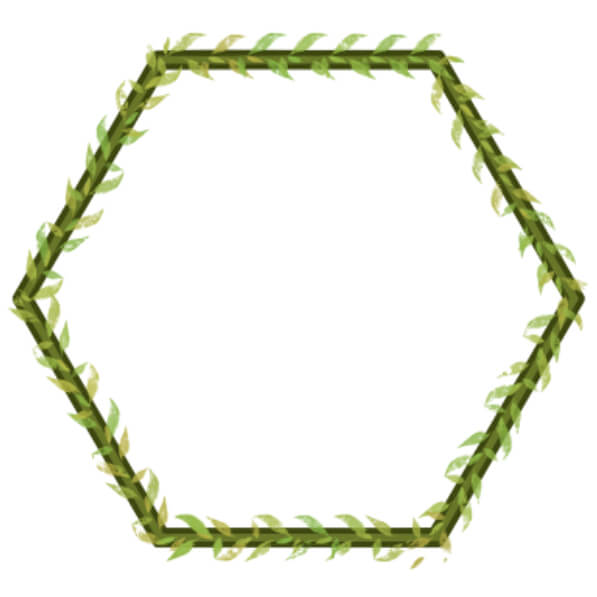Download Leafy Hexagonal Frame Frames Online - Creative Fabrica