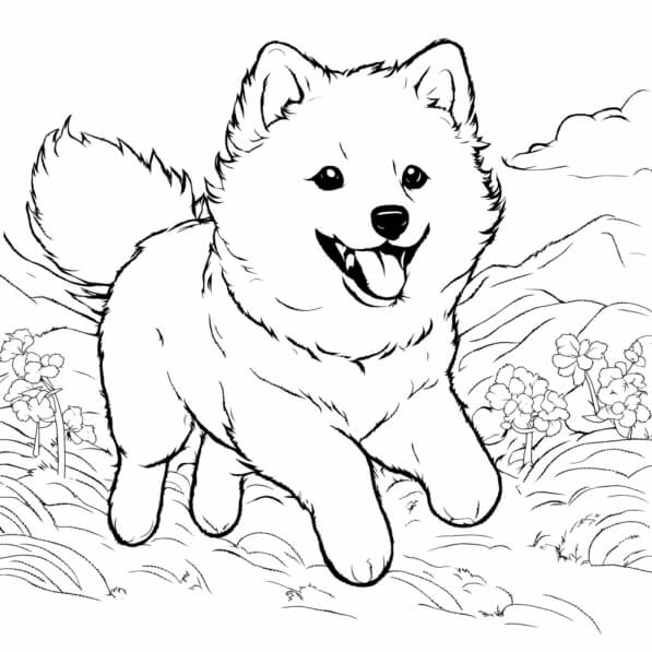 Download Cheerful Samoyed Dog Running in a Grassy Landscape Coloring ...