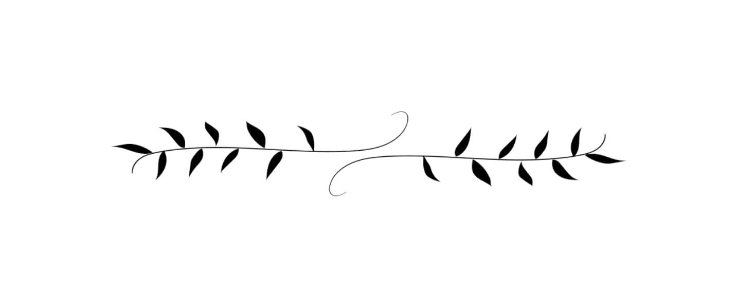 Download Elegant Vine Design Borders & Corners Online - Creative Fabrica